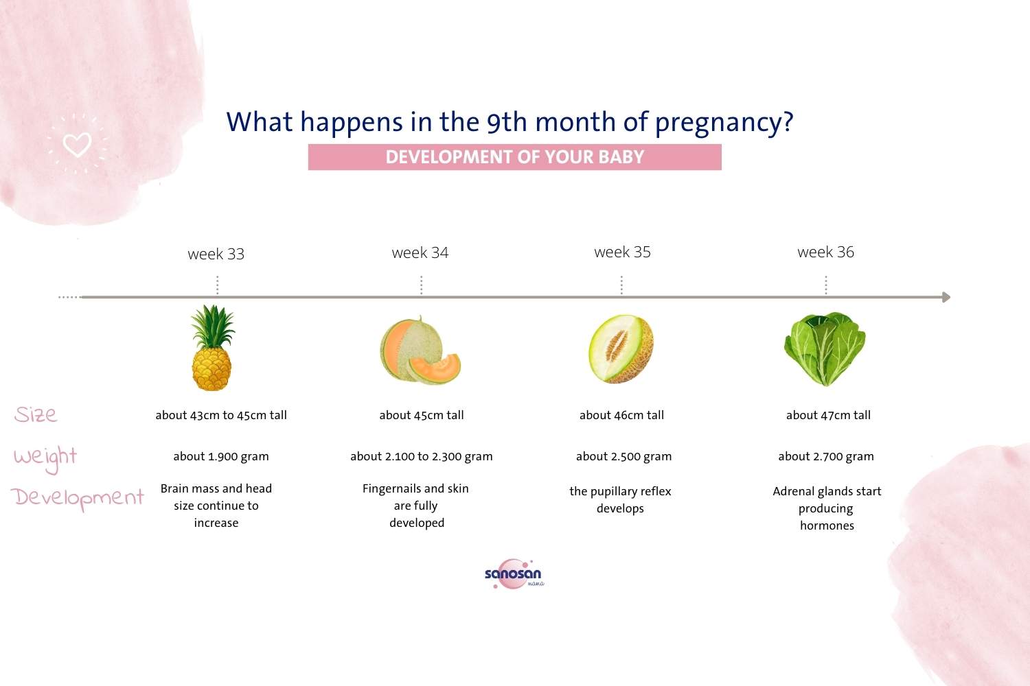The ninth month of pregnancy - Final sprint! - sanosan